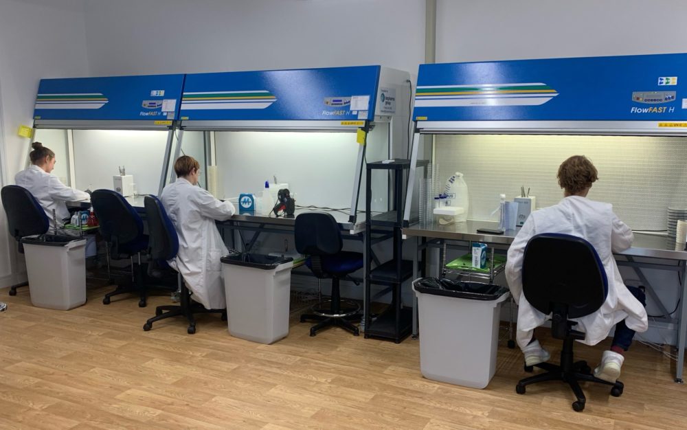 Home - Maelor Forest Nurseries Ltd