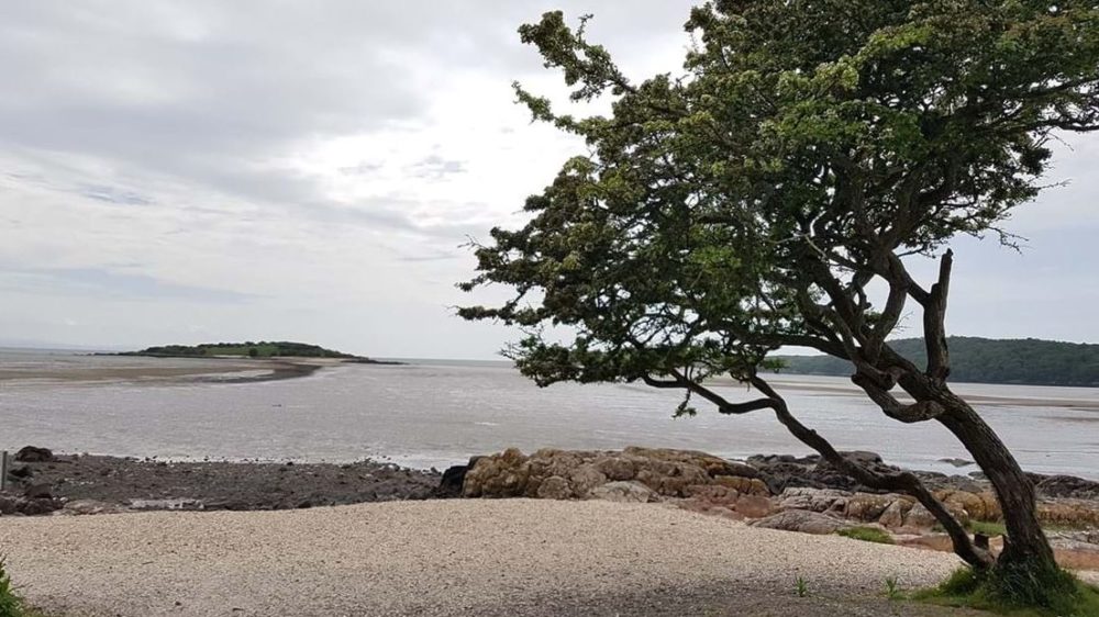 Home - Maelor Forest Nurseries Ltd