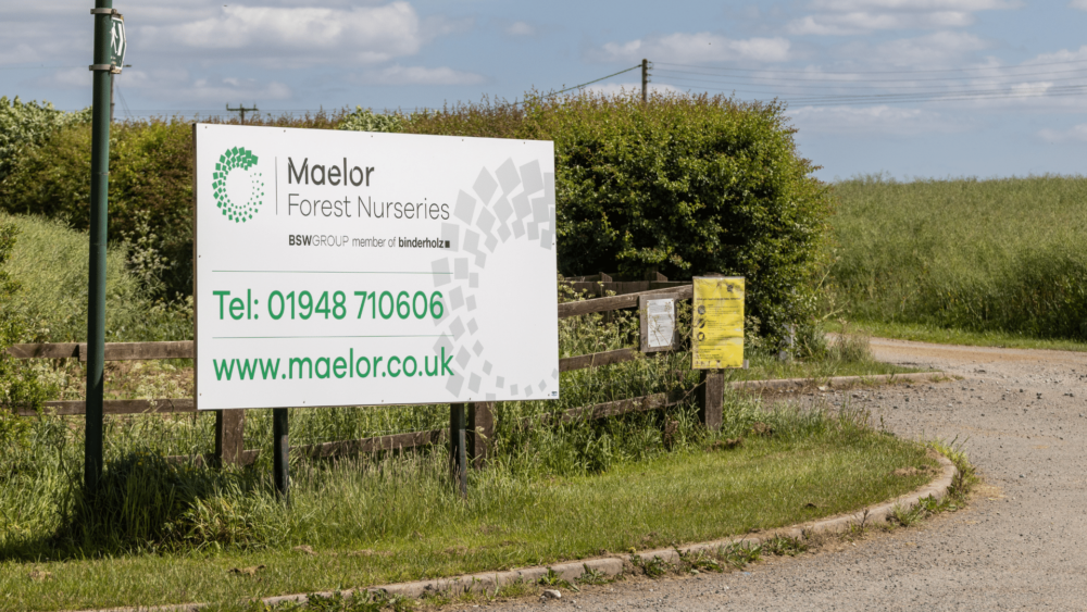 Exclusive Look Inside the UK’s Most Progressive Commercial Tree Nursery ...