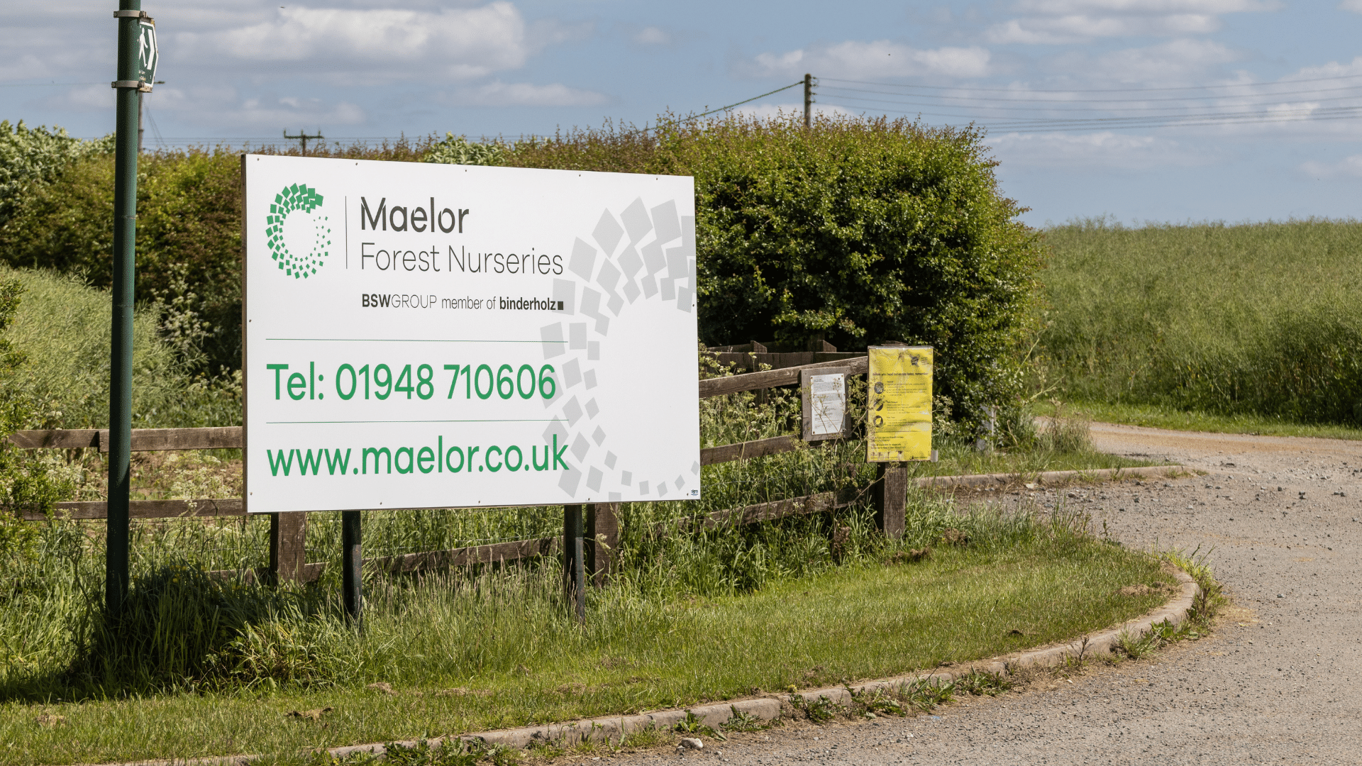 Exclusive Look Inside the UK’s Most Progressive Commercial Tree Nursery ...