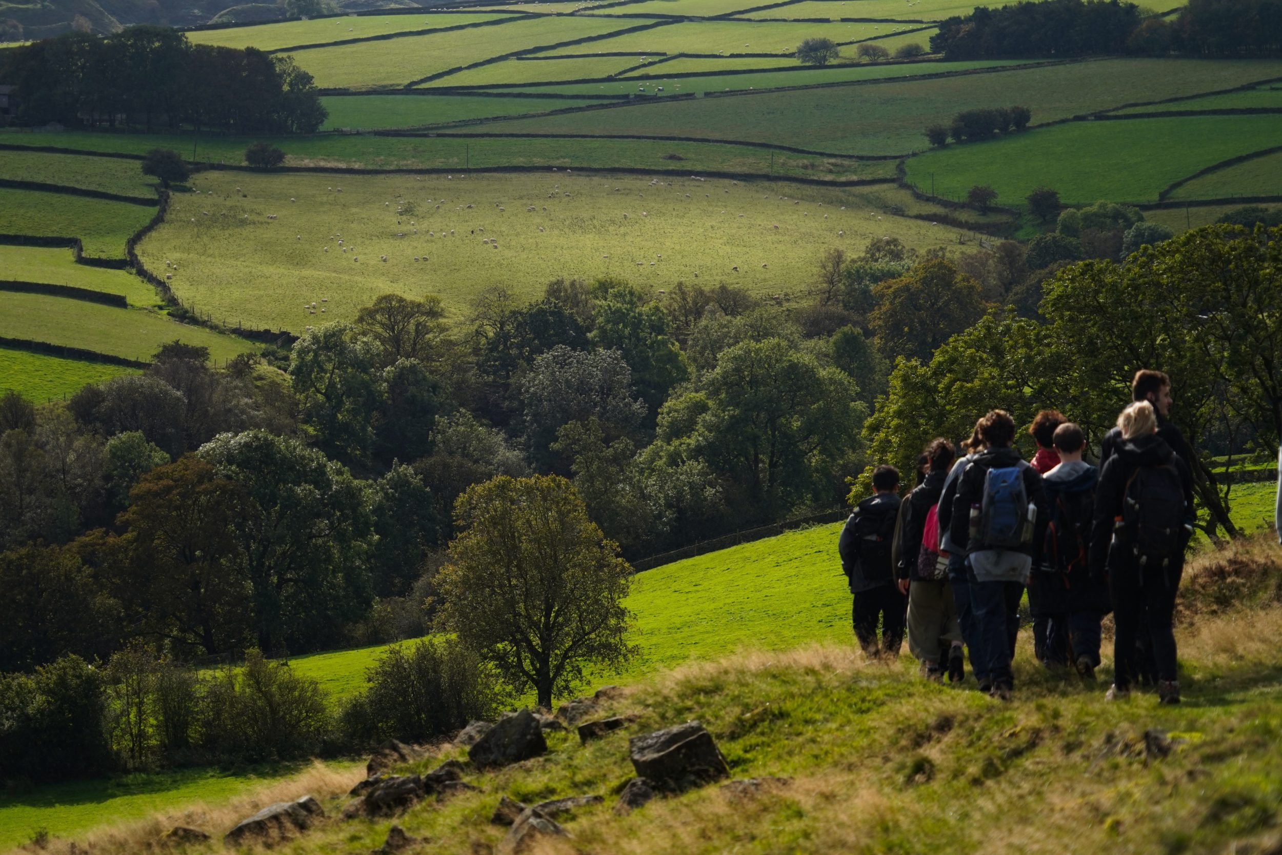 Thousands of trees to be planted in communities in boost to nature ...