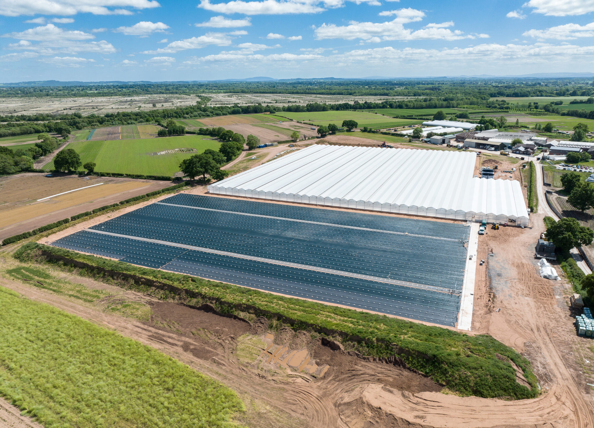 Who is Maelor Forest Nurseries? - Maelor Forest Nurseries Ltd